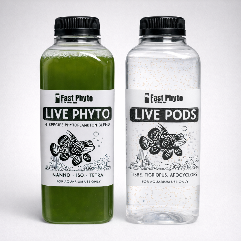 Phyto and Pods – Fast Phyto - By Terminus Reef